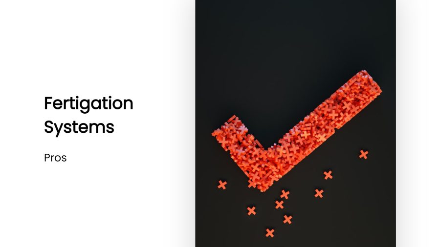 Fertigation Systems: Pros And Cons You Should Know In 2022 | EZ-FLO ...