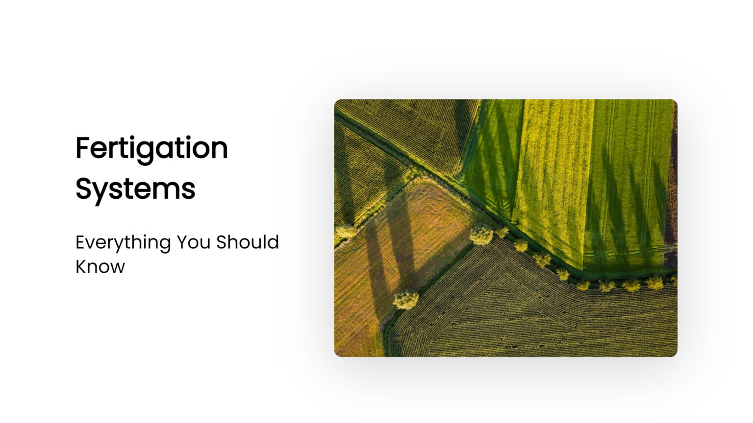 Fertigation Systems: Pros And Cons You Should Know In 2022 | EZ-FLO ...